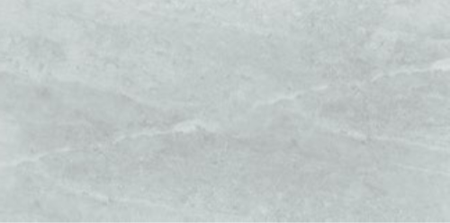 ARENA 12X24 SILVER (Special Order)